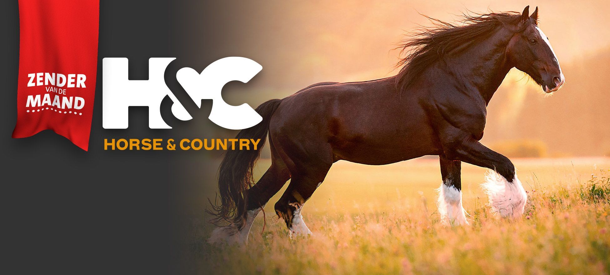 Horse & Country TV is zender van de maand juni | Kabelnoord